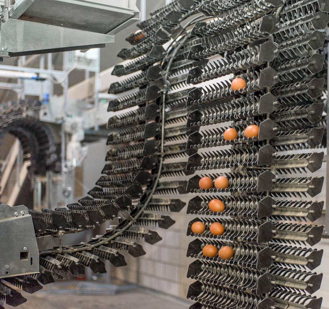 Pegasus - Vencomatic Group